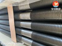 China Finned Pipe ASTM A312 TP347H SS Strip Solid Fin Tube For Economizer for sale