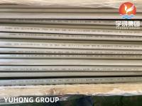China ASTM A213 TP304 Stainless Steel Seamless Heat Exchanger and Furnace Tubes for sale