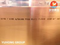 China Stainless Steel ASTM A182 F310 Weldneck Flange RTJ For Oil And Gas for sale