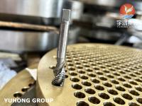 China Naval Brass C46400 Tubesheet B171 Cuzn36sn1 For Marine Heat Exchanger for sale