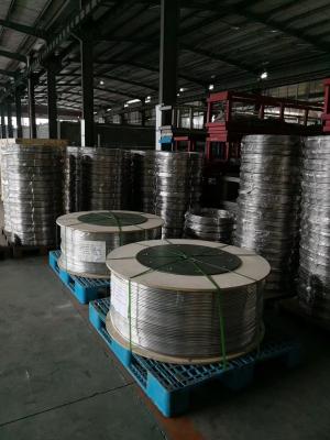 China Stainless Steel Coil Tubing ,ASTM A249 / TP316L,TP316Ti ,TP321,TP347H,TP904L, Bright Annealed , Coil form for sale