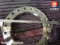 China ASTM A182 F904L Stainless Steel Flanges with Excellent Corrosion Resistance for sale