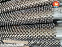 China Nail Head Tube Studded Tube For Petrochemical Industry for sale