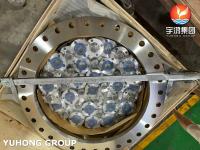 China ASTM A240 F904L AWWA C207 Table 2 Class D Steel Ring Flange For Water System for sale
