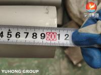 China Stainless Steel Seamless Pipe EN 10216-5 D2/T1 1.4404 TP316L For Oil And Gas for sale