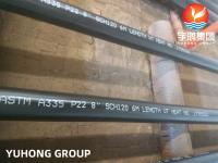 China ASTM A335 P22 2-1/4Cr Alloy Steel Seamless Pipe for Power Plant/Boiler/Nuclear Power for sale