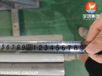 China ASTM A213 TP347 1.4550 Seamless Tube For Boiler And Heat Exchanger for sale