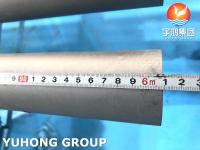 China ASTM A789 UNS S32205 Duplex Steel Seamless Tube For Chemical Industry for sale