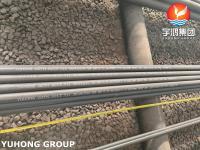 China ASTM A213 Grade T11 Chrome Moly Alloy Steel Seamless Boiler Tube for sale