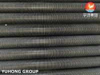 China High Frequency Welding ASTM A312 TP316L Stainless Steel Fin Pipe For Furnace for sale