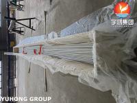 China Stainless Steel Seamless 310H Tubes ASME SA213 for HRSG Applications for sale