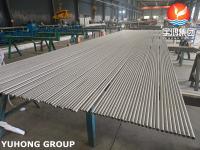 China Stainless Steel Seamless 310H Tubes ASME SA213 for HRSG Applications for sale