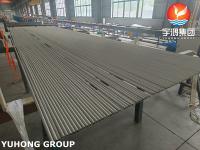 China Stainless Steel Seamless 310H Tubes ASME SA213 for HRSG Applications for sale