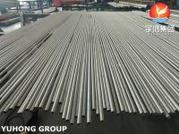 China Stainless Steel Seamless 310H Tubes ASME SA213 for HRSG Applications for sale