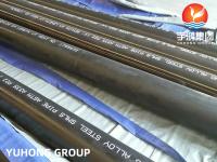 China P22 Seamless Tubes ​​ASME SA335 Seamless Tubes for Bubbling Fluidized Bed Boiler​ for sale