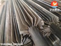 China Longitudinal Fin Tube ASTM A249 TP304 for Petrochemical Reactor Heating Jackets​ for sale