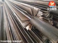 China Longitudinal Fin Tube ASTM A249 TP304 for Petrochemical Reactor Heating Jackets​ for sale