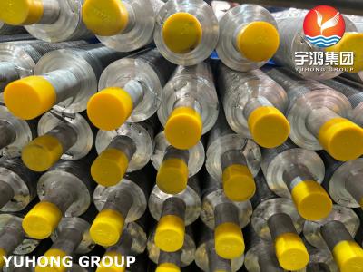 China Carbon Steel Fin Tube ASME SA179 With Aluminiun Fin Strip 1060 High Thermal Performance For Air Cooler for sale