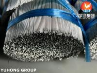 China ISO7864 SUS304 Injection Needle Tube , Bevelled Tip , Medical Hypodermic Needle for sale