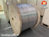 China ASTM A269 TP316L Stainless Steel Coil Seamless Tube NACE MR0175 Compliance for sale