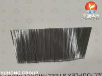 China 31G Triple Bevelled Stainless Steel Mesotherapy Needle Tube For Cosmetic Surgery ISO9626 SUS304 for sale