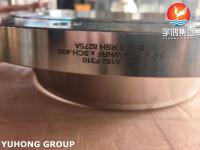 China ASTM A182 F310 Stainless Steel WNRF Flange ASME B16.5 Forged Steel Flange for sale