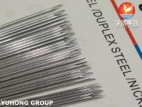 China 21G Lancet Point Injection Needle , Medical Stianless Steel Needle Tube ISO7864 SUS304 for sale