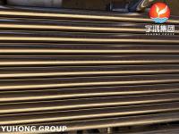 China Bright Annealed Stainless Steel Seamless Pipe ASTM A312 A269 TP310S BA 1.4842 for sale