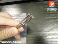 China Precision Stainless Steel 304 316L Capillary Tube Customized Flared Tube For Medical Device for sale