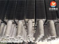 China Heat Exchanger Stainless Steel H Shaped Finned Tube A312 TP304L TP316L for sale