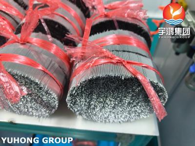 China Medical Stainless Steel Bevelled Hypodermic Needle Tube For Medicine Delivery SUS304 for sale