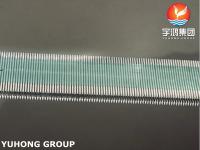 China SUS304 Medical Stainless Steel Back Eye AV Fistula Needle Tube For Hemodialysis for sale