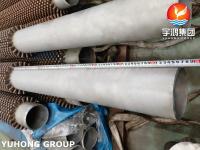 China SS304 Stainless Steel Stud Fin Tube High Frequency Welded HFW For Steam Generator for sale