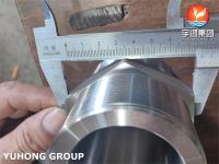 China ASTM A182 F316L BSP Union Hex Nipple Pressure Forgings for sale