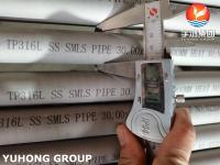 China ASTM A312 TP316L (UNS S31603) Stainless Steel Seamless Pipe for Petrochemical for sale
