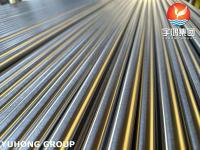 China ASTM A213 TP321H Stainless Steel Heat Exchanger Tube Bright Annealed for sale