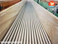 China ASME SB338 UNS R50400 Seamless Titanium Tubes for Condensers and Heat Exchangers for sale