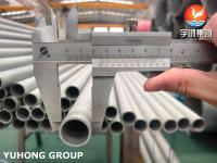 China ASTM A213 TP304 Stainless Steel Seamless Tube For Heat Exchanger and Boiler for sale