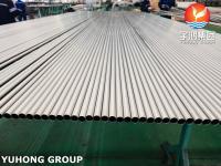 China ASME SB338 GR.2 R50400 Titanium Steel Seamless Tube For Nuclear Reactors and Condensers for sale