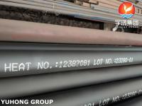 China ASTM A213 Grade T9 Alloy Steel Seamless Tube Heat Exchange Tube for sale
