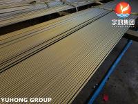 China ASTM A789 UNS S32750 Super Duplex 2507 Seamless Tube Bright Annealed Surface for sale