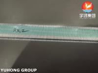 China SUS304 Medical AV Fistula Needle Tube For Hemodialysis Therapy , Back Eye Bevel Tip for sale