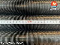 China Embedded G Fin Tube Carbon Steel Seamless Tube ASTM A179 For Air Cooler, Cooling Tower for sale