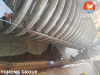 China ASTM A312 TP310S Stainless Steel Coil Seamless Pipe for sale