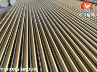 China ​​ASTM A213 TP312H Stainless Steel Seamless Tube Bright Annealed Surface for Heat Exchanger for sale