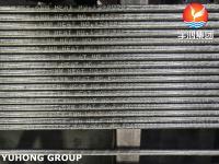 China ASTM A213 T5 Alloy Steel SeamlessTube For High-Temperature Heat Exchangers for sale