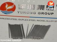 China 20G 23.5MM Stainless Steel IV Cannula, SUS304 Tri-bevel Intravenous Needle Tube ISO7864 for sale