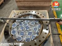 China A240 F904L STEEL FLANGE SOFF 150# AWWA C207 Table 2 Ciass D RING FLANGE for sale