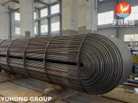 China STAINLESS STEEL HEAT EXCHANGER TUBE BUNDLE A179 A213 TUBE WITH TUBESHEET BAFFLE for sale