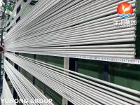 China ASTM A269 TP316L Stainless Steel Seamless Tube Pickled and Annealed for sale
